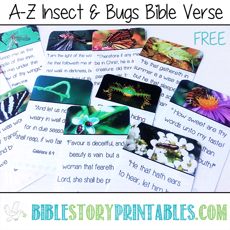 A-Z Insects Bible Verse Cards - The Crafty Classroom