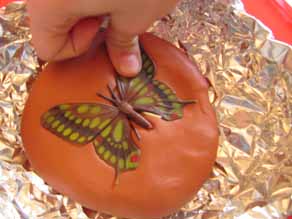 Fossil Craft - The Crafty Classroom