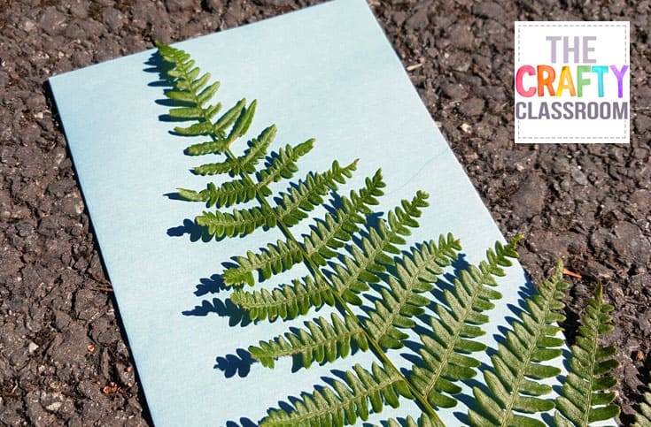 Making Art with Nature Prints - The Crafty Classroom