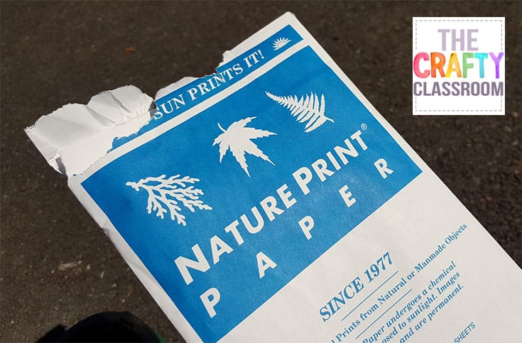 Making Art with Nature Prints - The Crafty Classroom