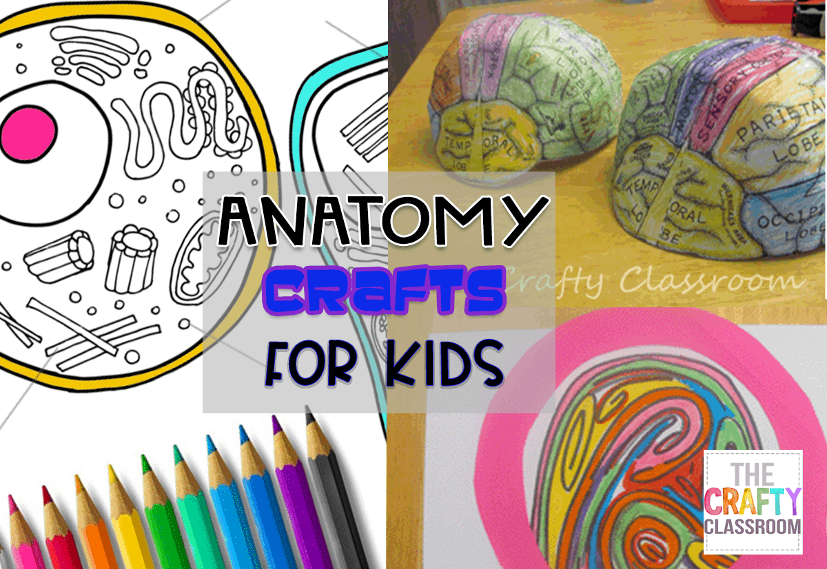 Science Crafts and Activities