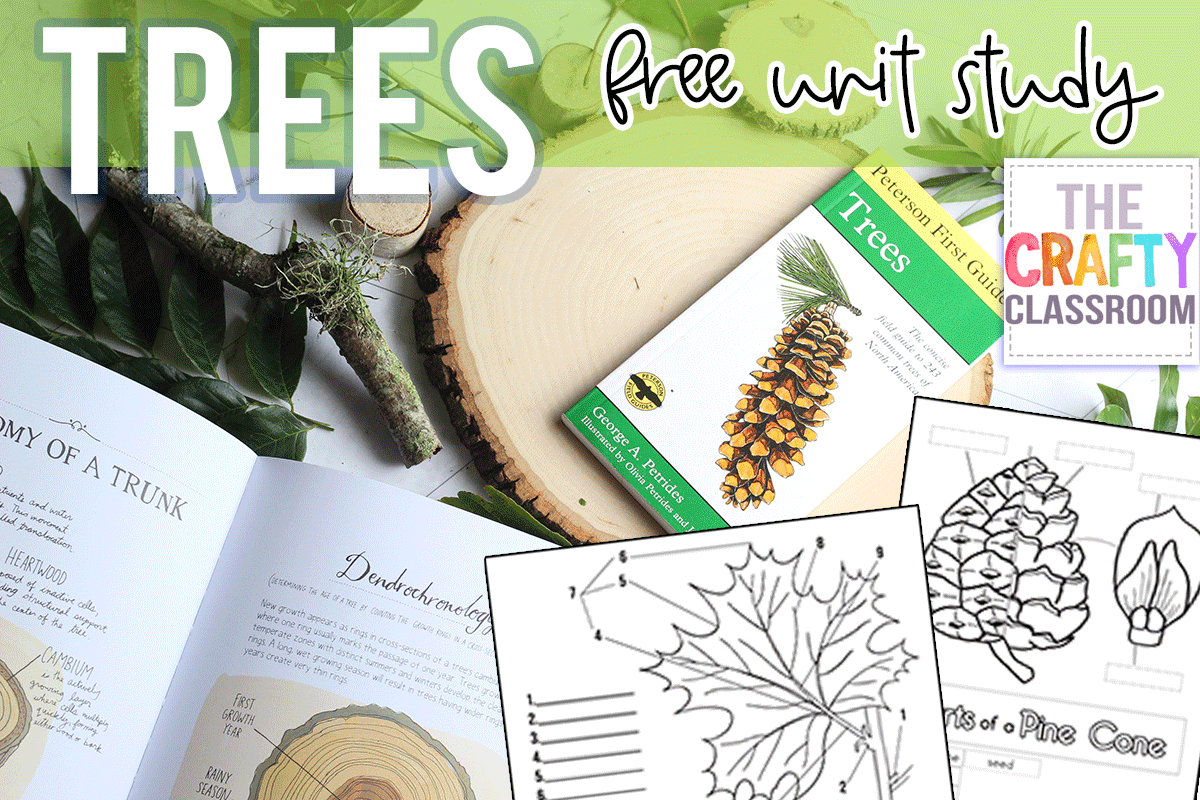 Free Trees Unit Study