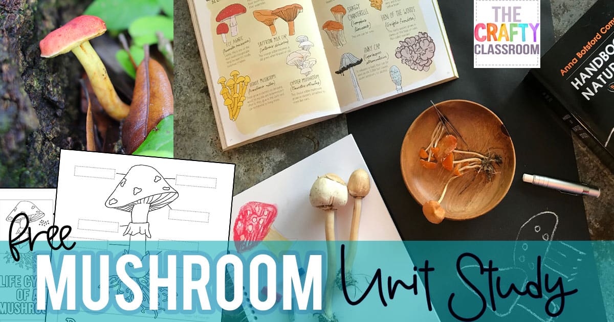 Mushroom Unit Study