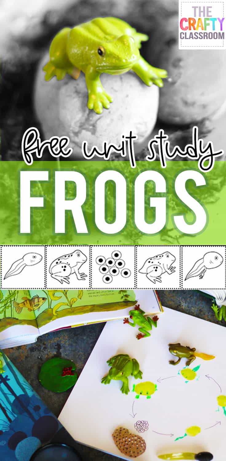 Free Frogs Unit Study